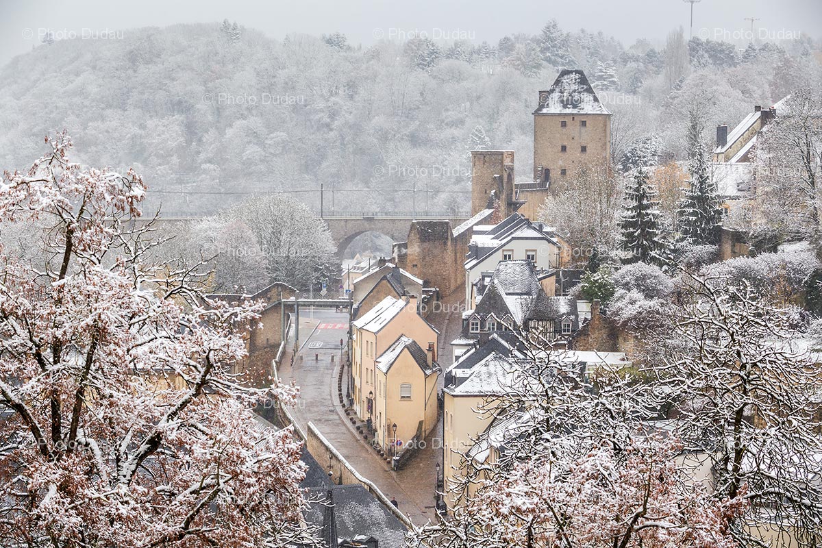 Snow over Rham Plateau in Luxembourg – Stock Images Luxembourg